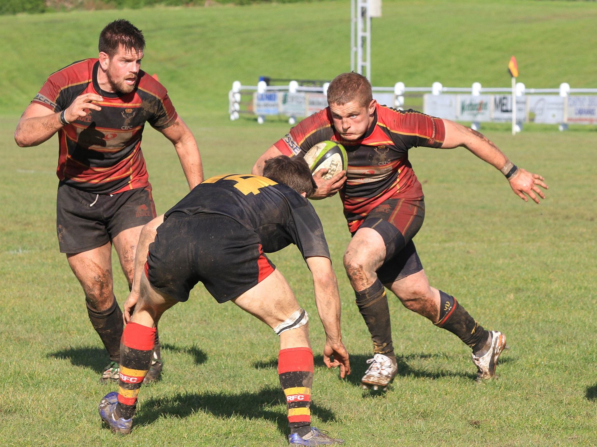 Cinderford v Wharfedale Preview - Cinderford RFC