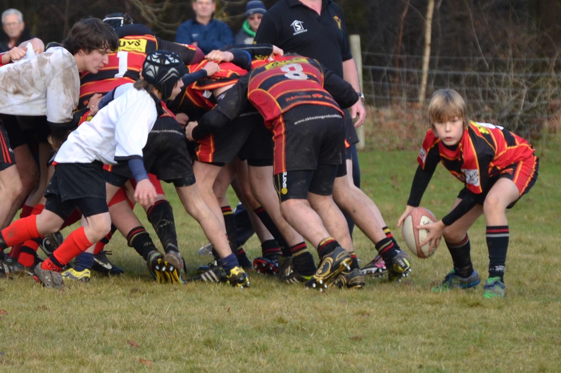 Cinderford Under 14 v Cheltenham Tigers Under 14 - Cinderford RFC